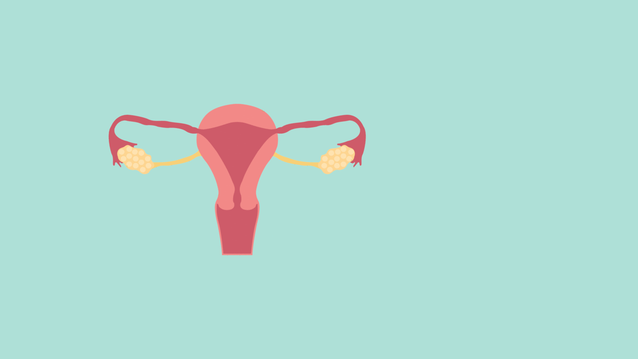 Сарын тэмдгийн тухай бидний мэддэггүй зүйлс | Unread Today